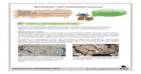 Pdf Worksheet The Fossilization Process Dokumen Tips