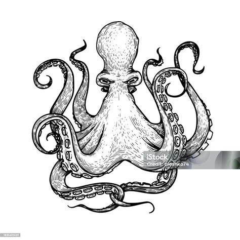문어 스케치 손 그려진 스타일 복고풍 빈티지 바다 괴물 그림입니다 해산물 및 해상 디자인에 가장 적합합니다 흰색에 벡터