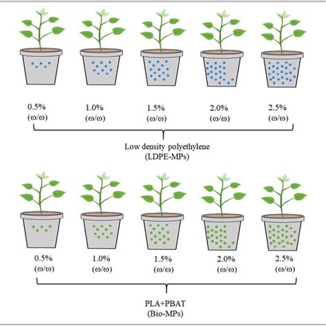 Pot Experimental Design All 11 Treatments Were Repeated 8 Times 4 Download Scientific Diagram