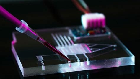 Microfluidics For Biological Analysis And Applications