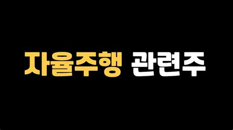 자율주행 관련주 총정리 트럼프 2기 테슬라 로보택시 수혜주로 부각에스오에스랩 퓨런티어 Hl만도 스마트레이더시스템
