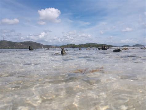 Playita Rosada Lajas Puerto Rico Beach Finder