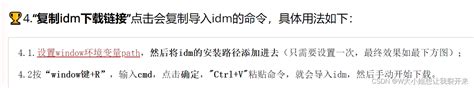使用IDM下载磁力链或迅雷文件_idm ed2k-CSDN博客
