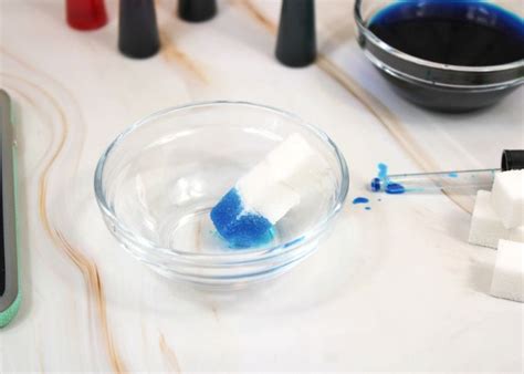 Sugar Cube Experiment Absorption And Dissolving