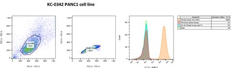 Facs Binding Assay Cellular Biology Research Kyinno Bio