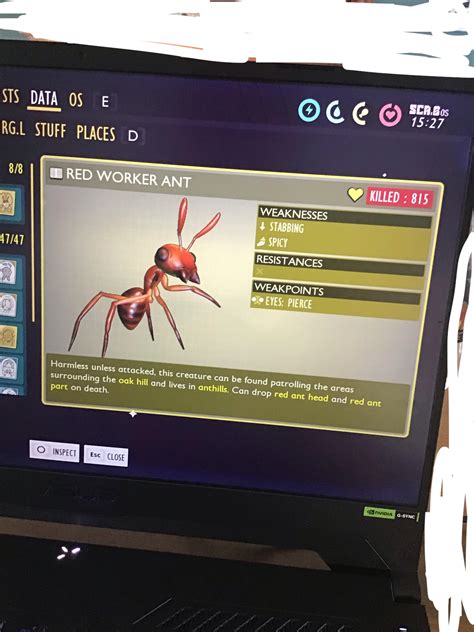 Finally R Groundedgame