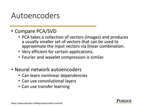 Lec16 Autoencoderspptx Computing Technology And Computing