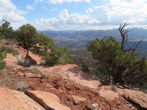 Dv22 Smith Mesa Large 