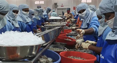 Andrew Frederick Johnson On Linkedin Sysco Stops Buying From Indian Shrimp Supplier After