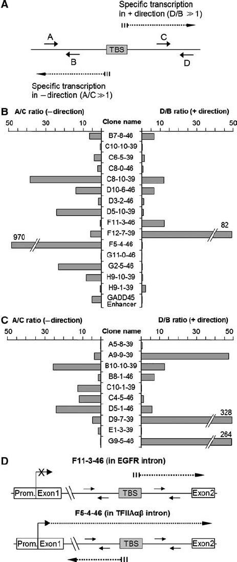 Correlation Analyses Of Chip On Chip Data Sets Pearson Correlation Download Scientific Diagram