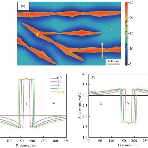 A Predicted Manganese Content Map After Intercritical Annealing At