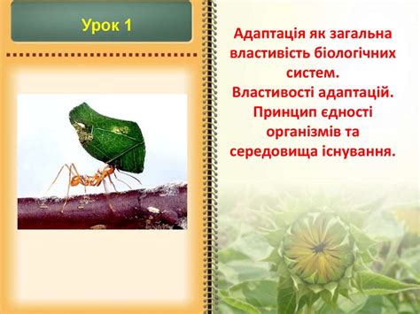Адаптація як загальна властивість біологічних систем Властивості адаптацій Принцип єдності