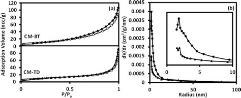 A N2 Adsorptiondesorption And B Pore Size Distribution Curve Of The Cm
