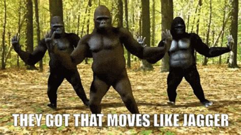 Dancing Animal S Download And Share