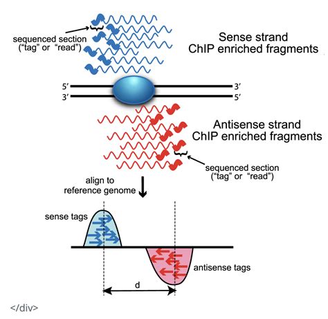 Bioinformatics Questions About ChIP Seq Reads And MACS Biology Stack Exchange