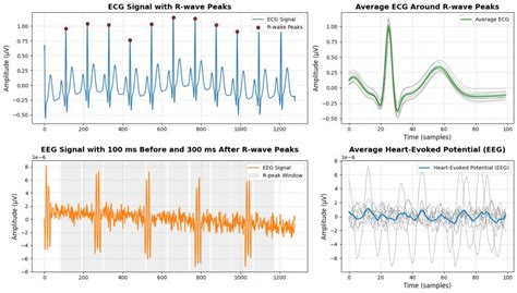 Mahsa Alidadi On Linkedin Neurohep Python Eeg Ecg Neuroscience