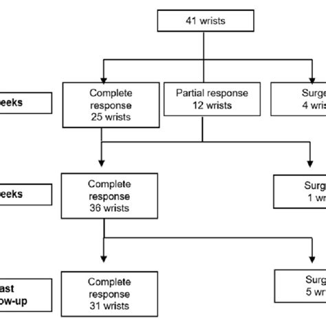 Us Assessment And Guided Injection Of Apl And Epb A Transverse Scan Download Scientific