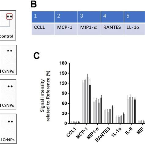 Cytokines Detected With The Proteome Profiler Human Cytokine Array