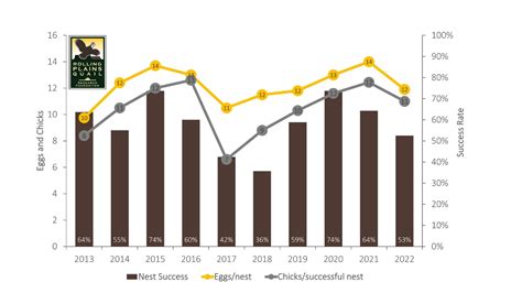 Late Summer Nesting Report From Rpqrr Rolling Plains Quail Research