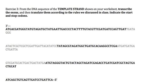Solved Exercise 3 From The Dna Sequence Of The Template