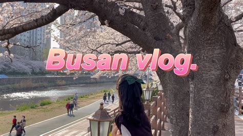 VLOG 여행 브이로그ㅣ부산 박 일ㅣ커플여행ㅣ벚꽃구경ㅣ온천천ㅣ광안리ㅣ해리단길ㅣ부산맛집 개매집본점 민락어민활어직판장 태백이초장 회 수변최고돼지국밥 부산떡볶이 로우랜스윗