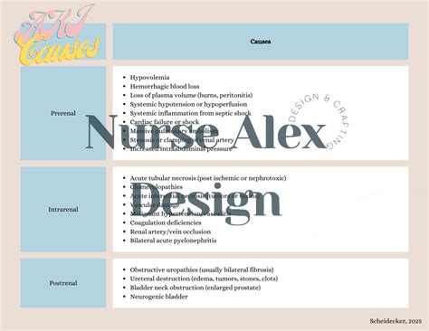 Renal Cheat Sheet Etsy