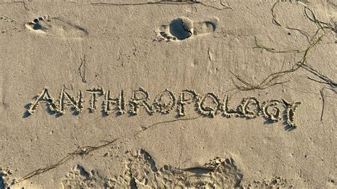 Courses Department Of Anthropology