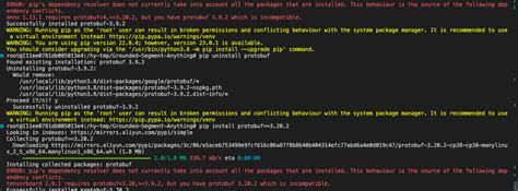 Tensorboard Requires Protobuf Onnx Requires Protobuf Issue