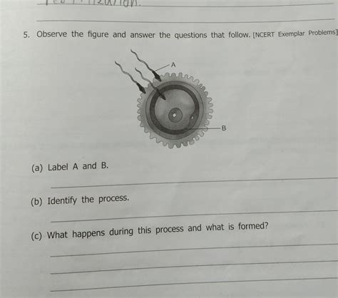 Observe The Figure And Answer The Questions That Follow NCERT Exemplar Problems A Label A