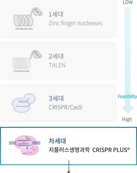 G FLAS 지플러스 생명과학