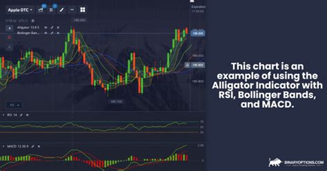 How To Use The Alligator Indicator For Binary Options