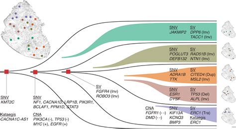 Bmda Facilitates Integrative Spatial Genomics Suggesting A More