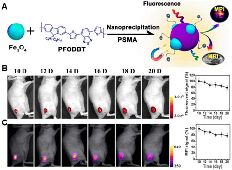 A Schematic Illustration Of The Preparation Of Janus Nanoparticles