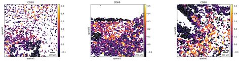 Plot Segmentation Masks — Squidpy Documentation