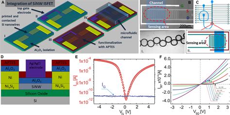 A Sinw Isfet Fabrication Process And Integration With The Download Scientific Diagram
