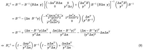 bfgs in a nutshell an introduction to quasi newton methods by adrian