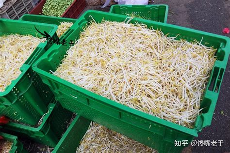 买豆芽:粗的好还是细的好?老菜农:都不好,牢记3点再买错不了 知乎 买豆芽:粗的好还是细的好?老菜农:都不好,牢记3点再买错不了 知乎