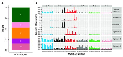 mutational signature analysis identifies five active signatures a
