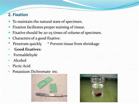 Tissue Preparation Histology Pptx