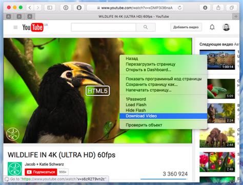 20 Способов Как Скачать Видео с Youtube Онлайн Информатика Приложения для Iphone Видео