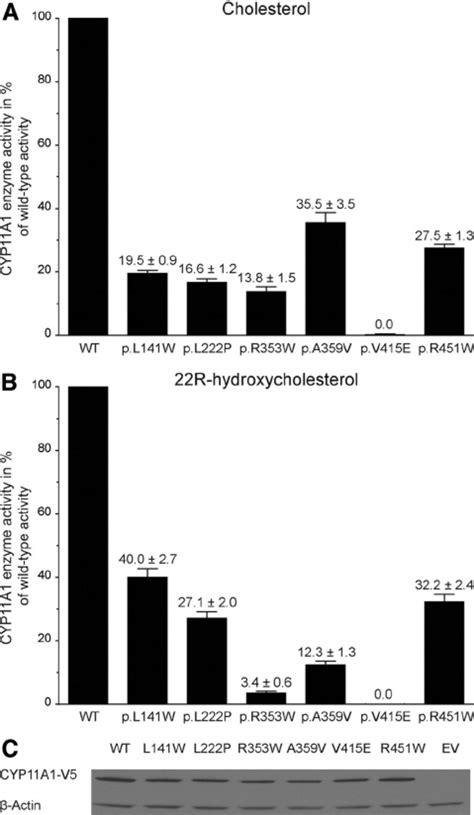A And B Cyp11a1 Residual Enzyme Activity Values Are Depicted For The