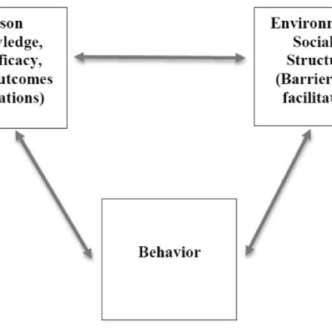 Bidirectional Relationships Of Person Environment And Behavior