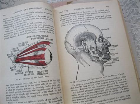 1935 Antique Anatomy Textbook Full Of Neat By Shanelilyrain 800