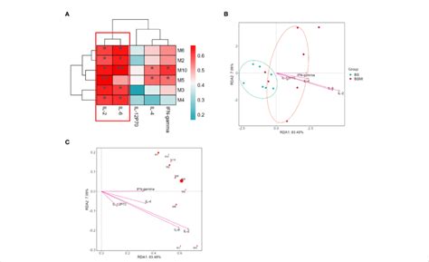 Correlation Analysis Between The Cytokine And Metabolites A The Download Scientific Diagram