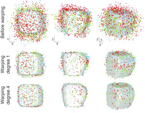 Spatial Normalization Of The Positions Of Gfpkor1 Compartments Into