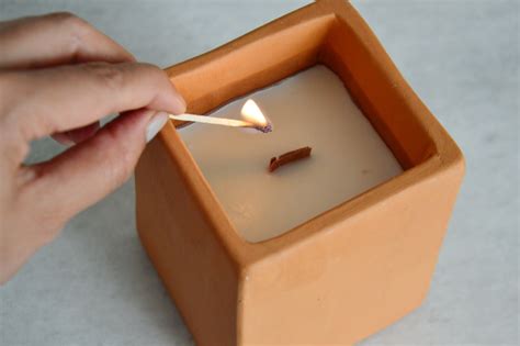 Plantable Candle Crackling Cedarwood Armatuer