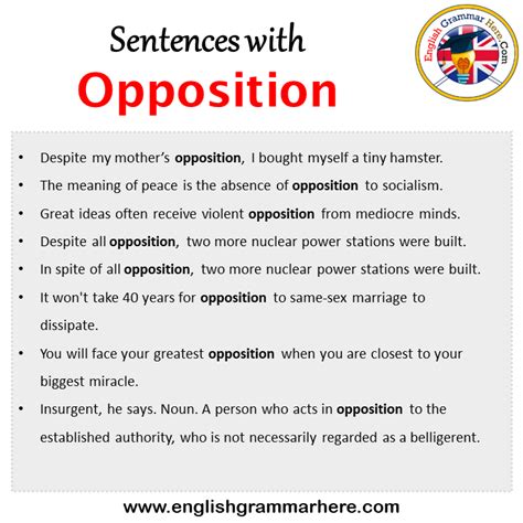 Sentences With Have To Have To In A Sentence In English Sentences For Have To English