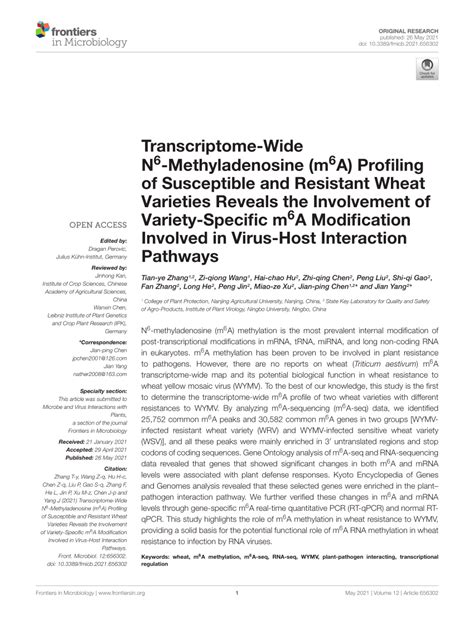 Pdf Transcriptome Wide N6 Methyladenosine M6a Profiling Of