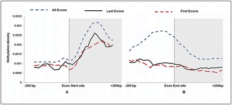 Average Methylation Density At The Intron Exon Intron Junctions Download Scientific Diagram