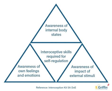 Interoception Explained Processing Internal Sensory Messages Griffinot